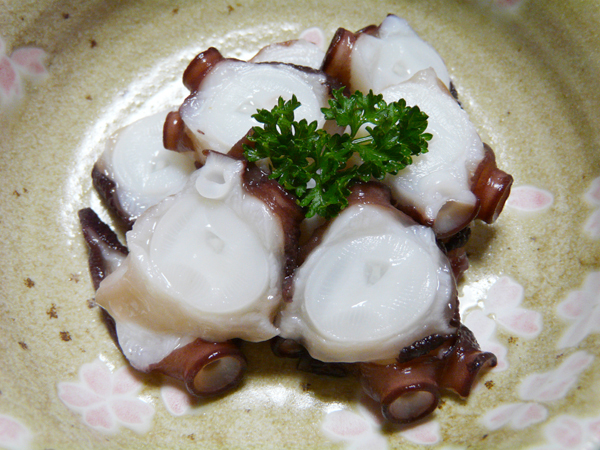 南大阪辺りのルアー釣り: タコ祭り！